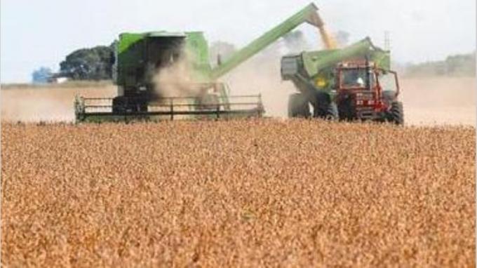La cosecha de soja se encuentra en su etapa final con interesantes ...