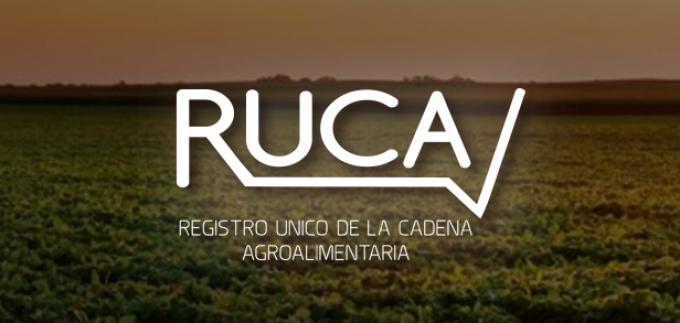 Ya están listas las nuevas categorías en el RUCA para intentar ...